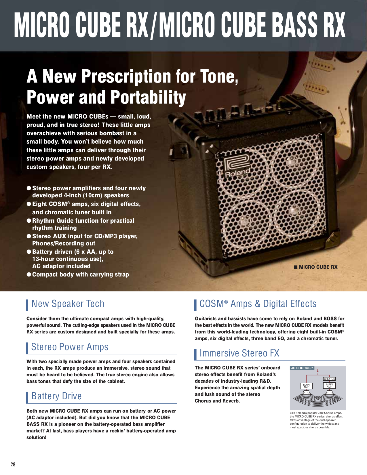 Download free pdf for Roland MICRO CUBE BASS RX Amp manual